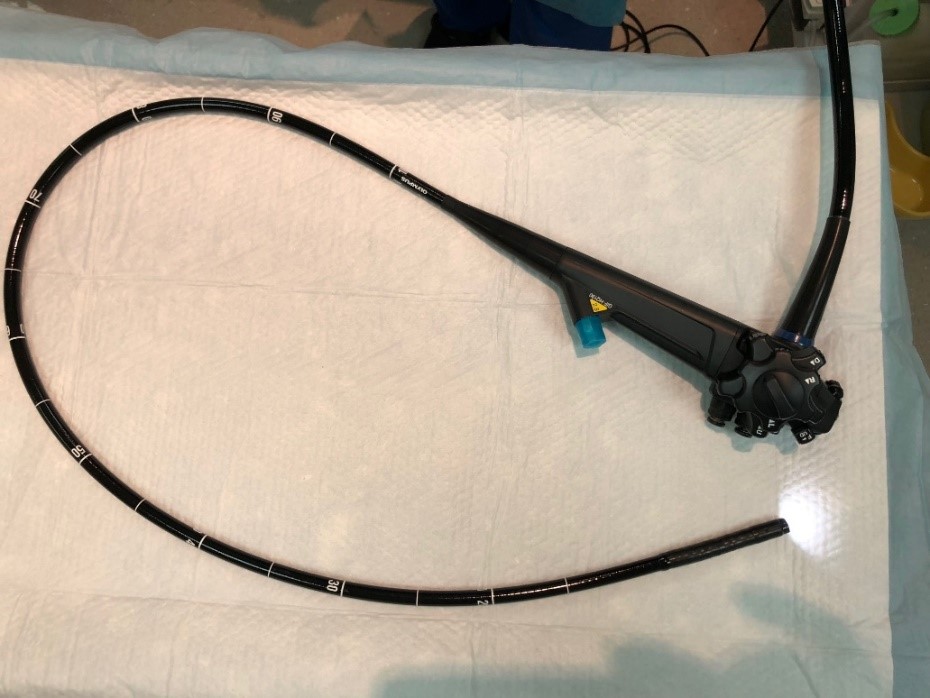 Gastroscopy (Endoscopy) - Maher A. Abbas, MD | Proctology, Colonoscopy